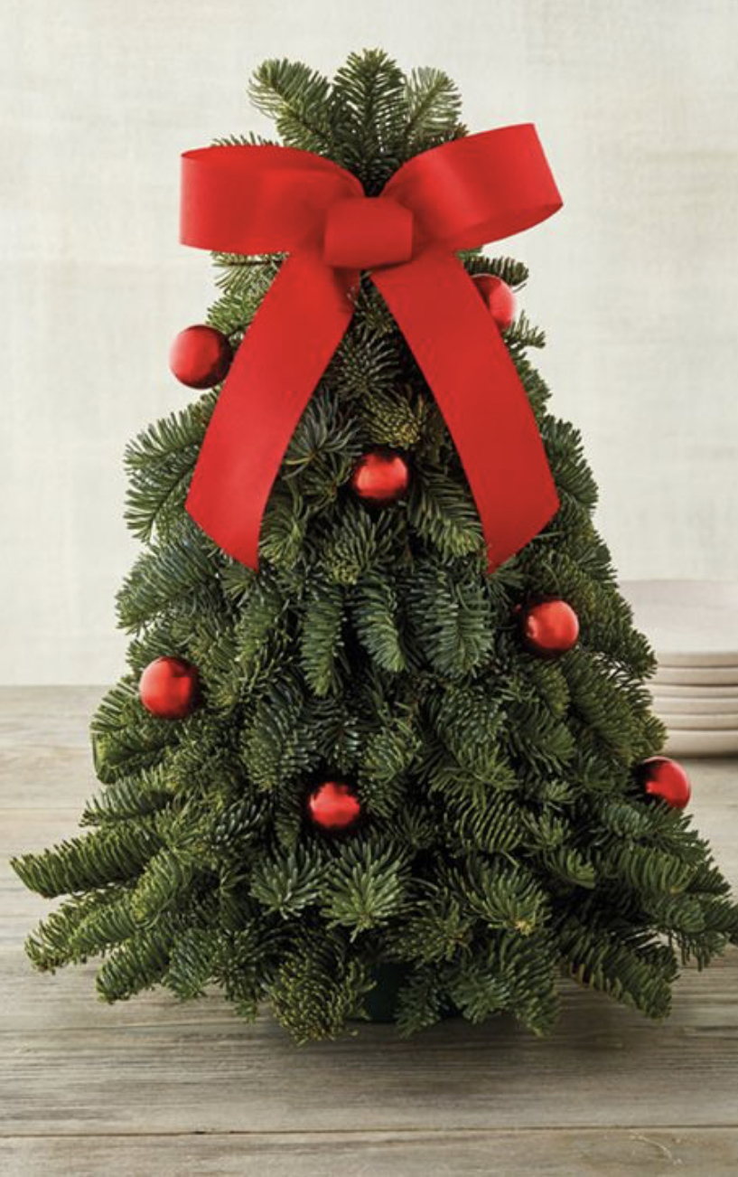 Tis the Season – Carol Marchant Gibbs