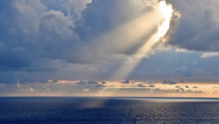 The Fear of Life Anew – Carol Marchant Gibbs
