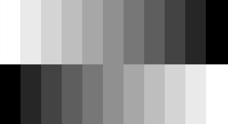 The Full Spectrum – Carol Marchant Gibbs