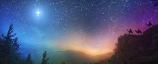 I Used to Believe – Carol Marchant Gibbs