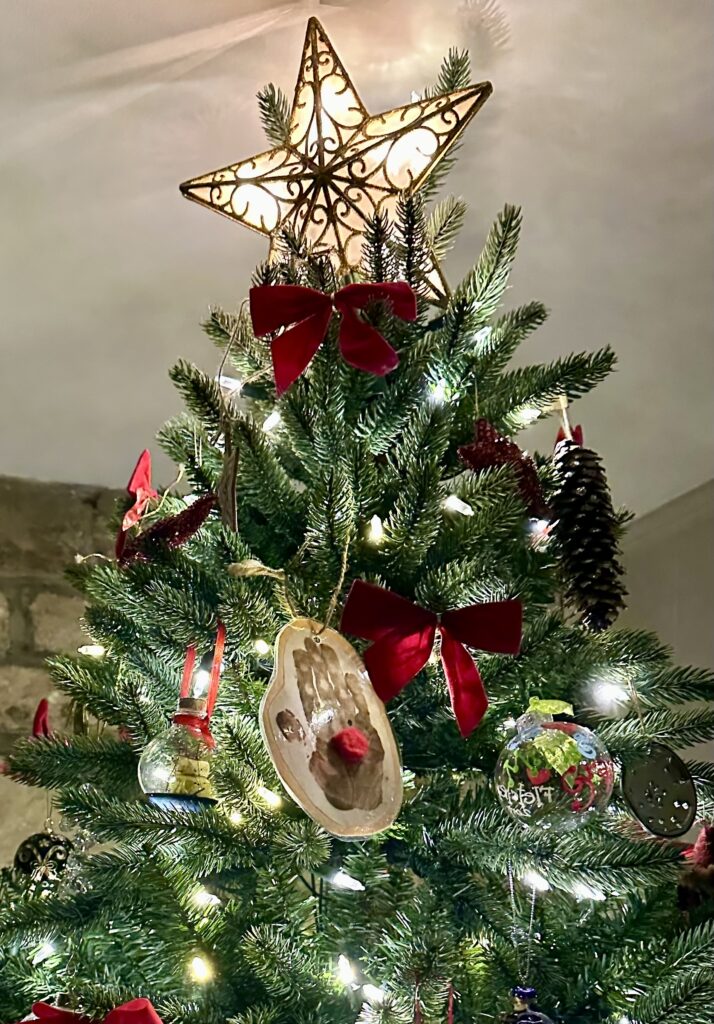Restoring Joy – Carol Marchant Gibbs
